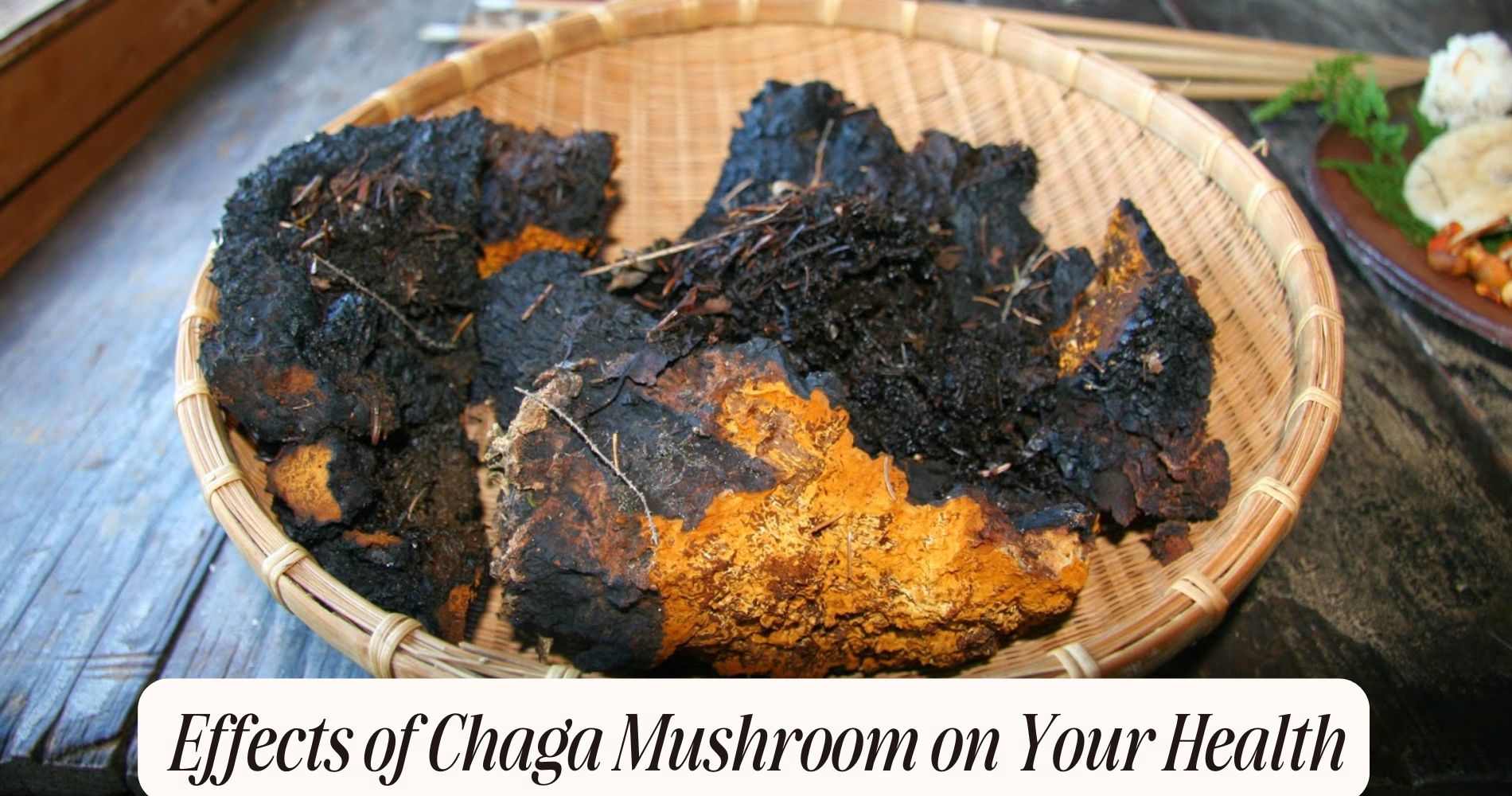 Effects of Chaga Mushroom on Your Health