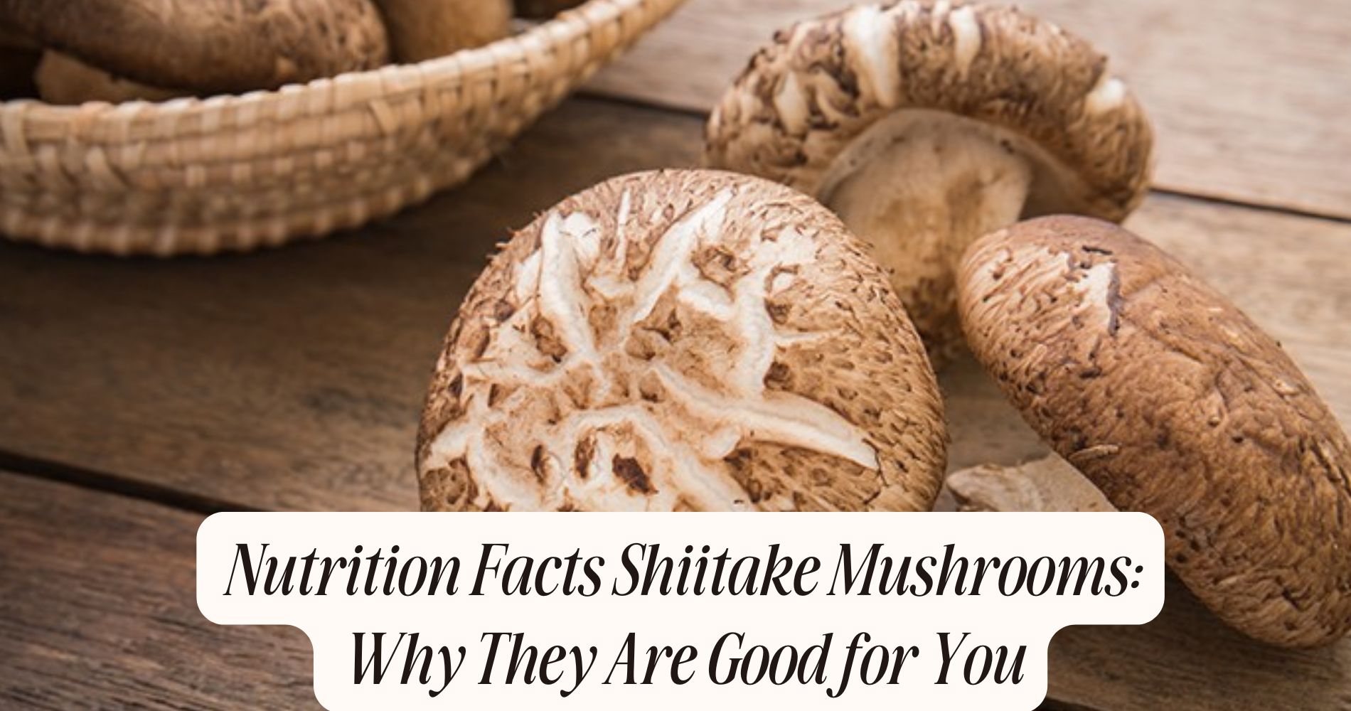 Nutrition Facts Shiitake Mushrooms: Why They Are Good for You
