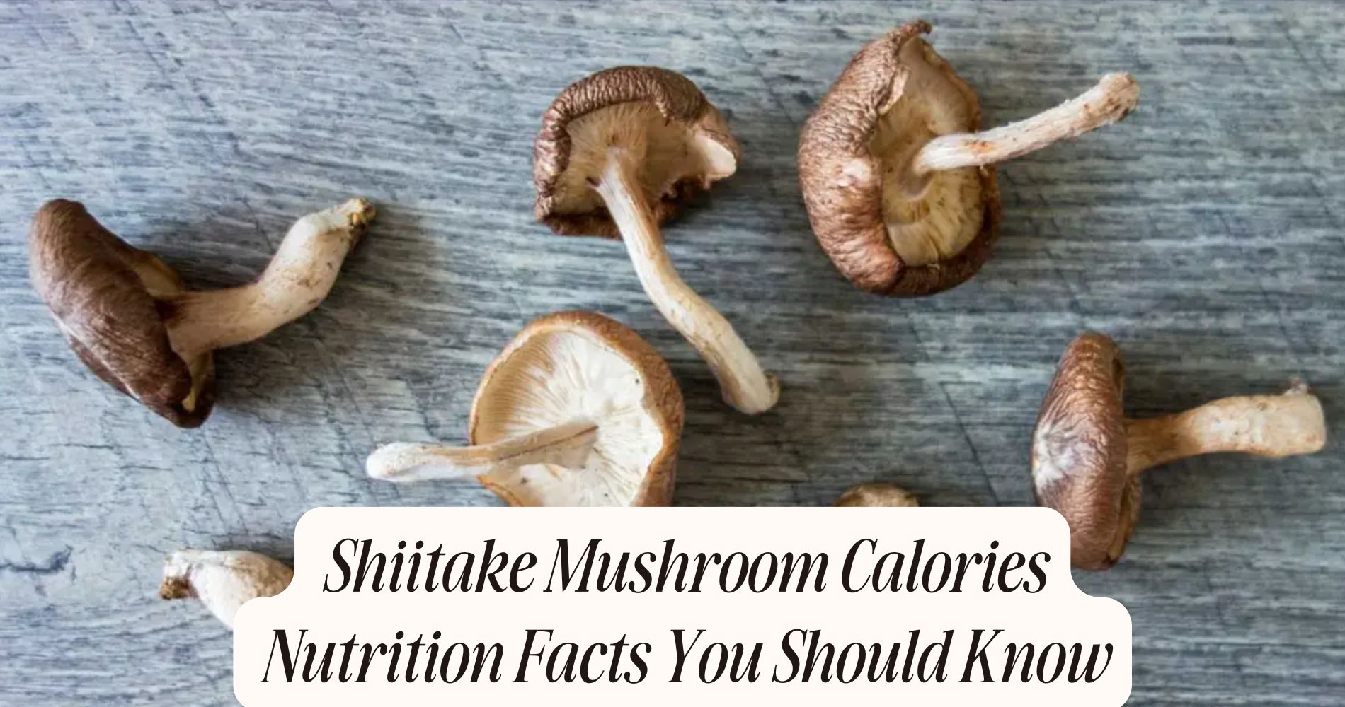 Shiitake Mushroom Calories Nutrition Facts You Should Know