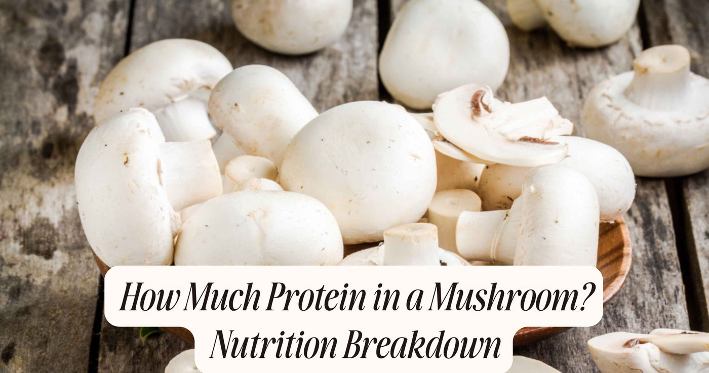 How Much Protein in a Mushroom? Nutrition Breakdown