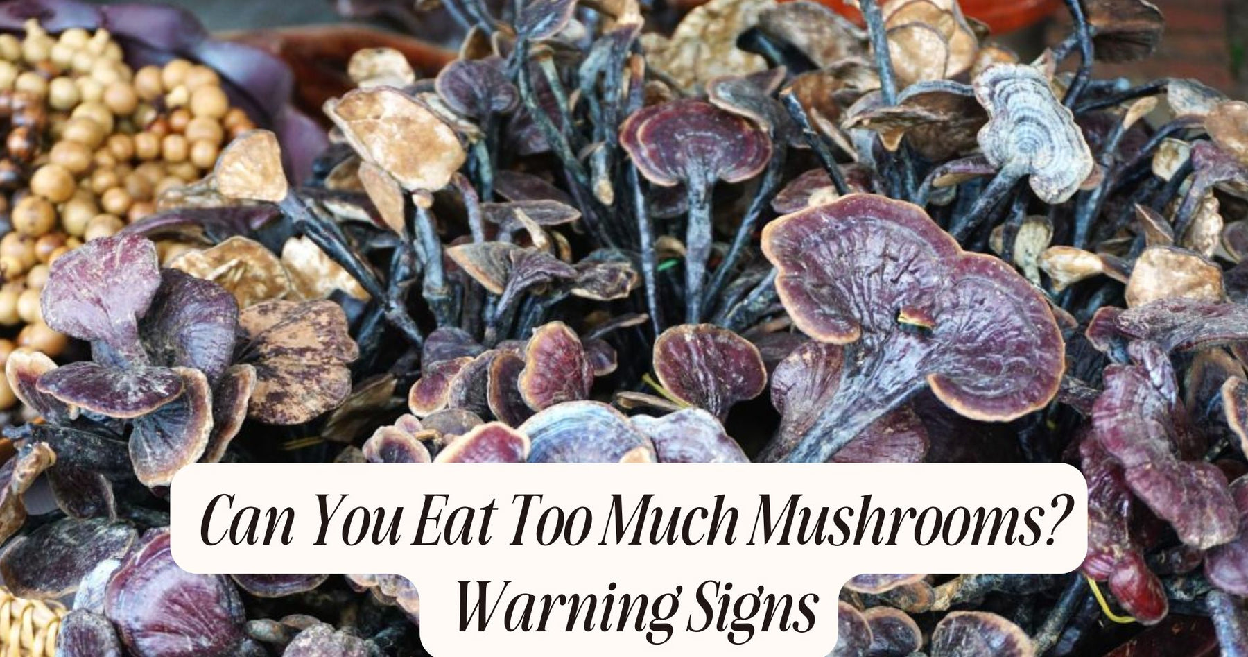 Can You Eat Too Much Mushrooms? Warning Signs