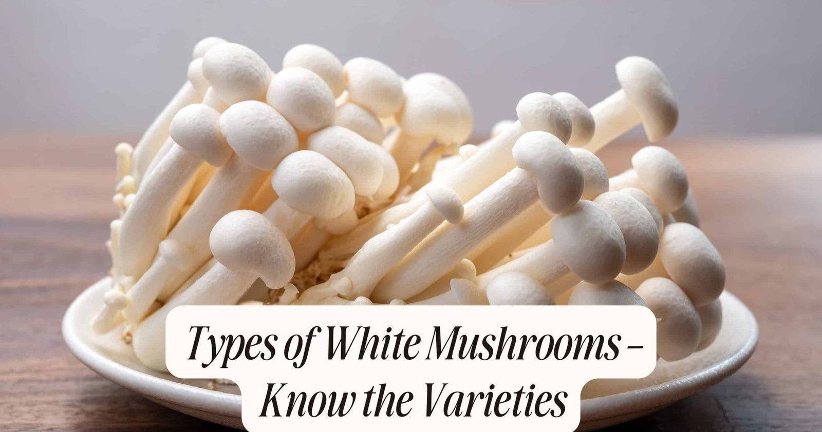 Types of White Mushrooms – Know the Varieties